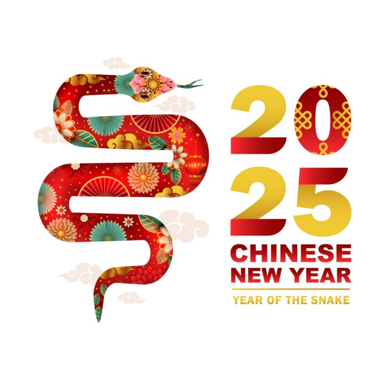 Con Rắn Vector 2025 - Vector Con Rắn Trang Trí Tết 2025 Mới Nhất